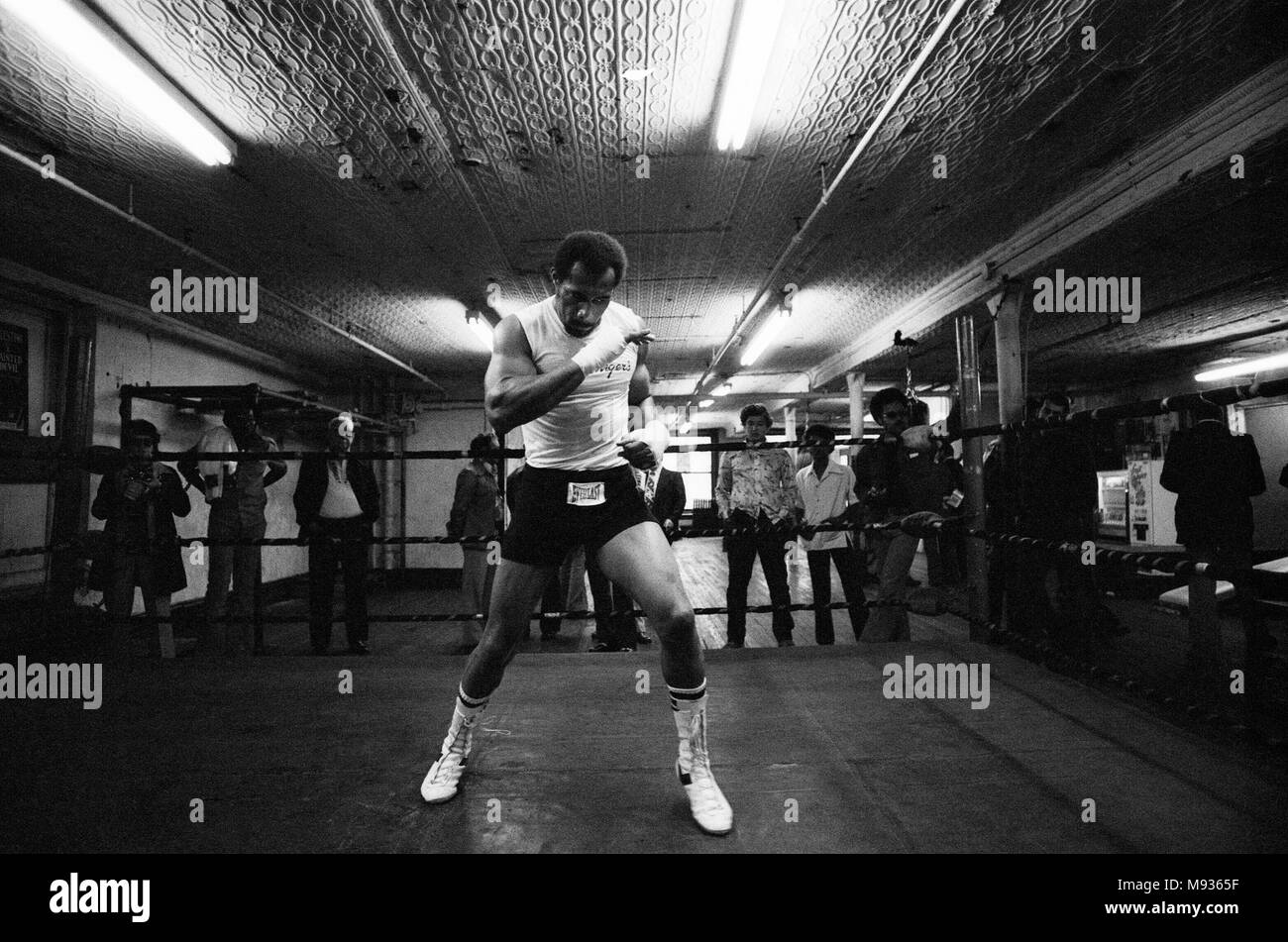 Ken norton hi-res stock photography and images - Alamy