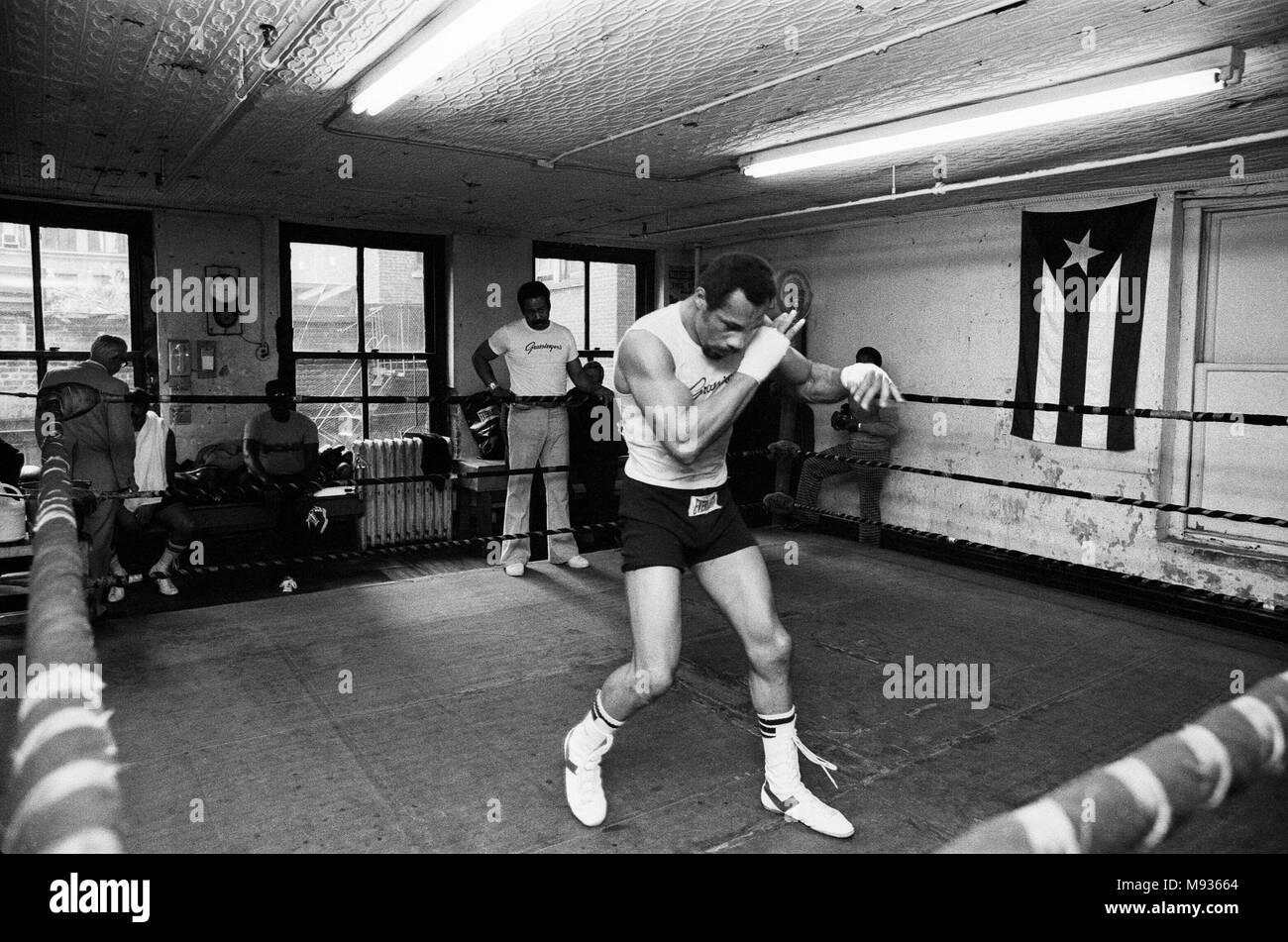 Ken Norton training ahead of his third fight with Muhammad Ali. 23rd ...