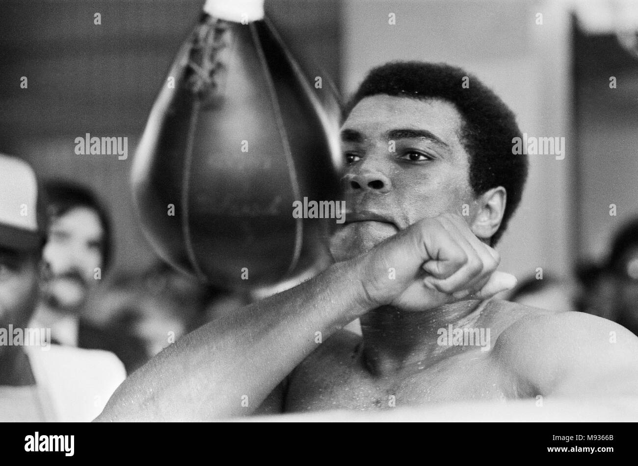 Muhammad Ali training at Gleason's Gym in New York, for his World ...