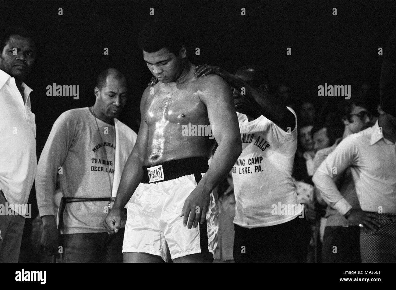 Muhammad Ali getting rubbed down ahead of his upcoming fight with ...