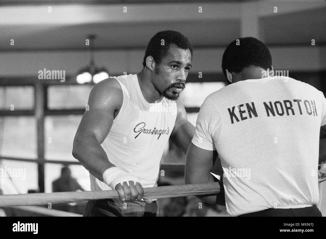 Ken norton boxer hi-res stock photography and images - Alamy