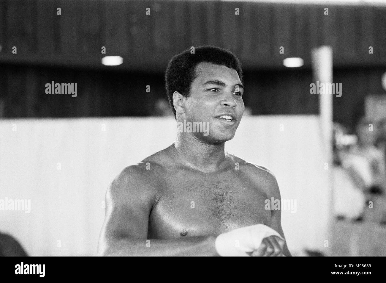 1970s boxing sport training hi-res stock photography and images - Alamy