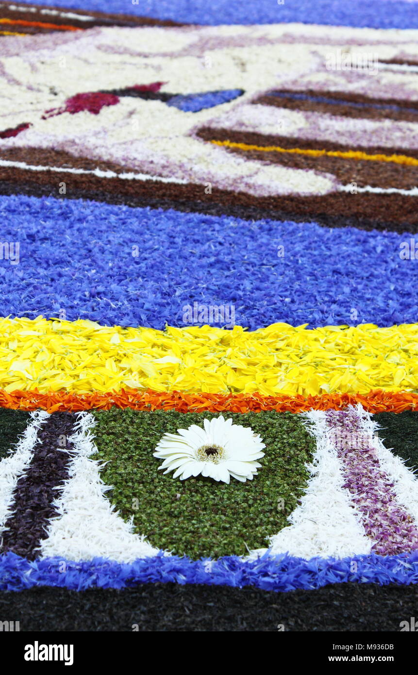 Multicolored floral carpet made with flower petals Stock Photo - Alamy