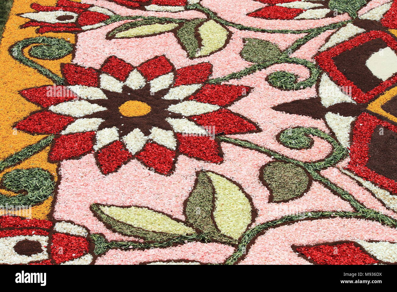 Multicolored floral carpet made with flower petals Stock Photo - Alamy