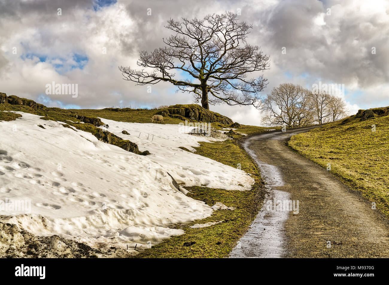English country lane hi-res stock photography and images - Alamy