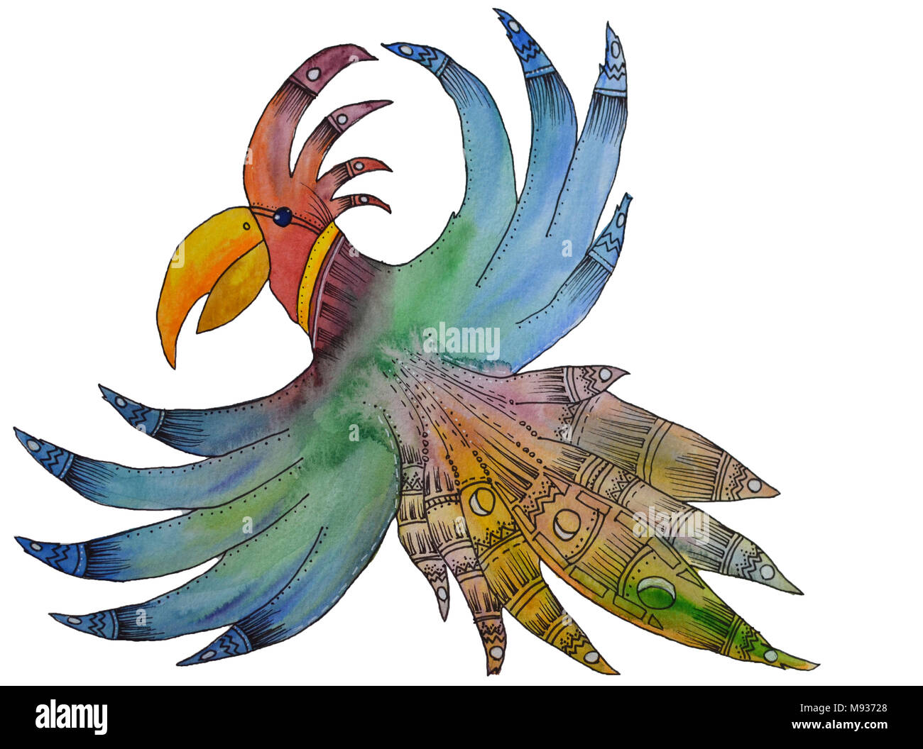 Watercolor style illustration of magic colorful bird Stock Photo - Alamy