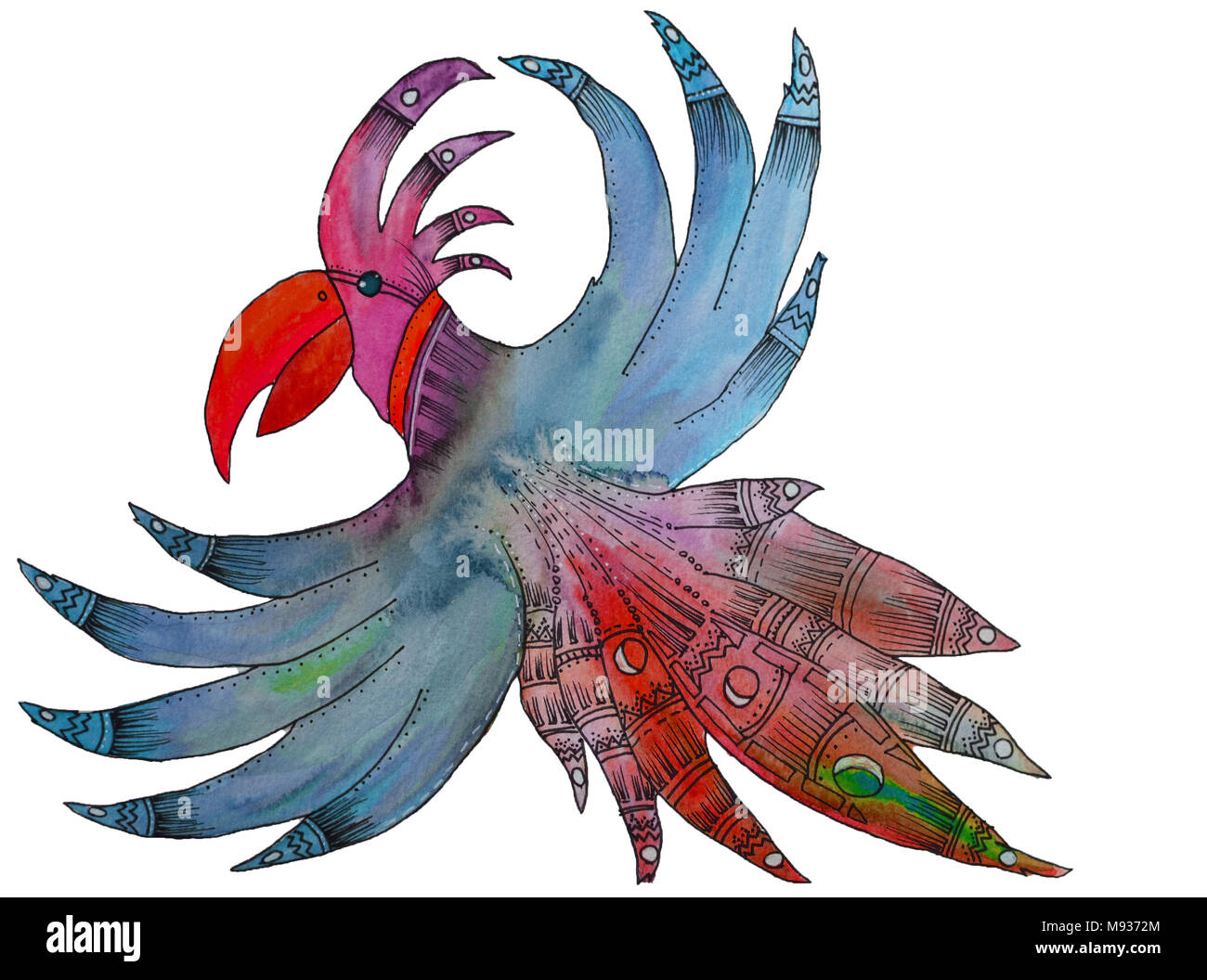 Watercolor style illustration of magic colorful bird Stock Photo - Alamy