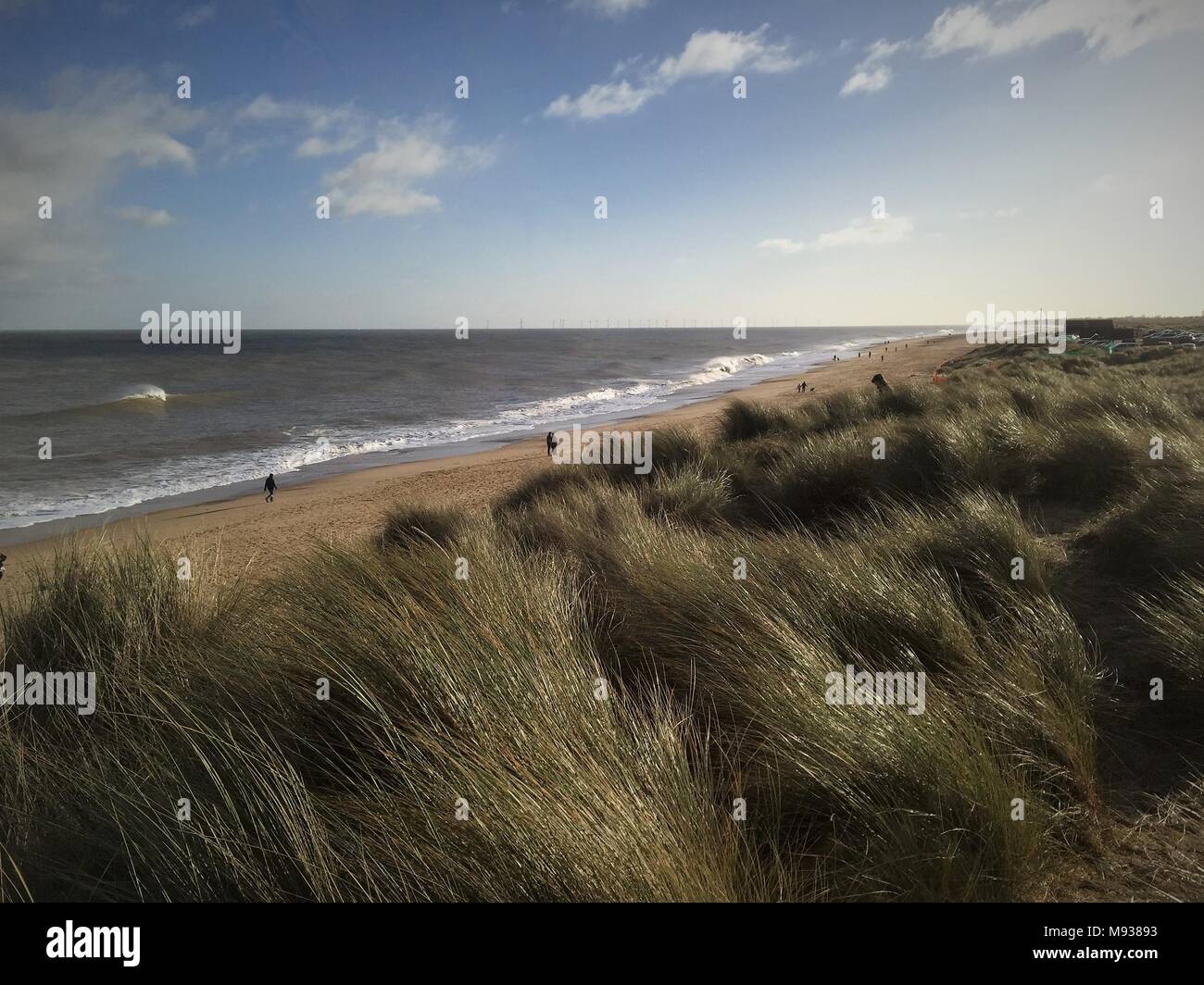 Winterton Dunes National Nature Reserve Norfolk UK Stock Photo - Alamy