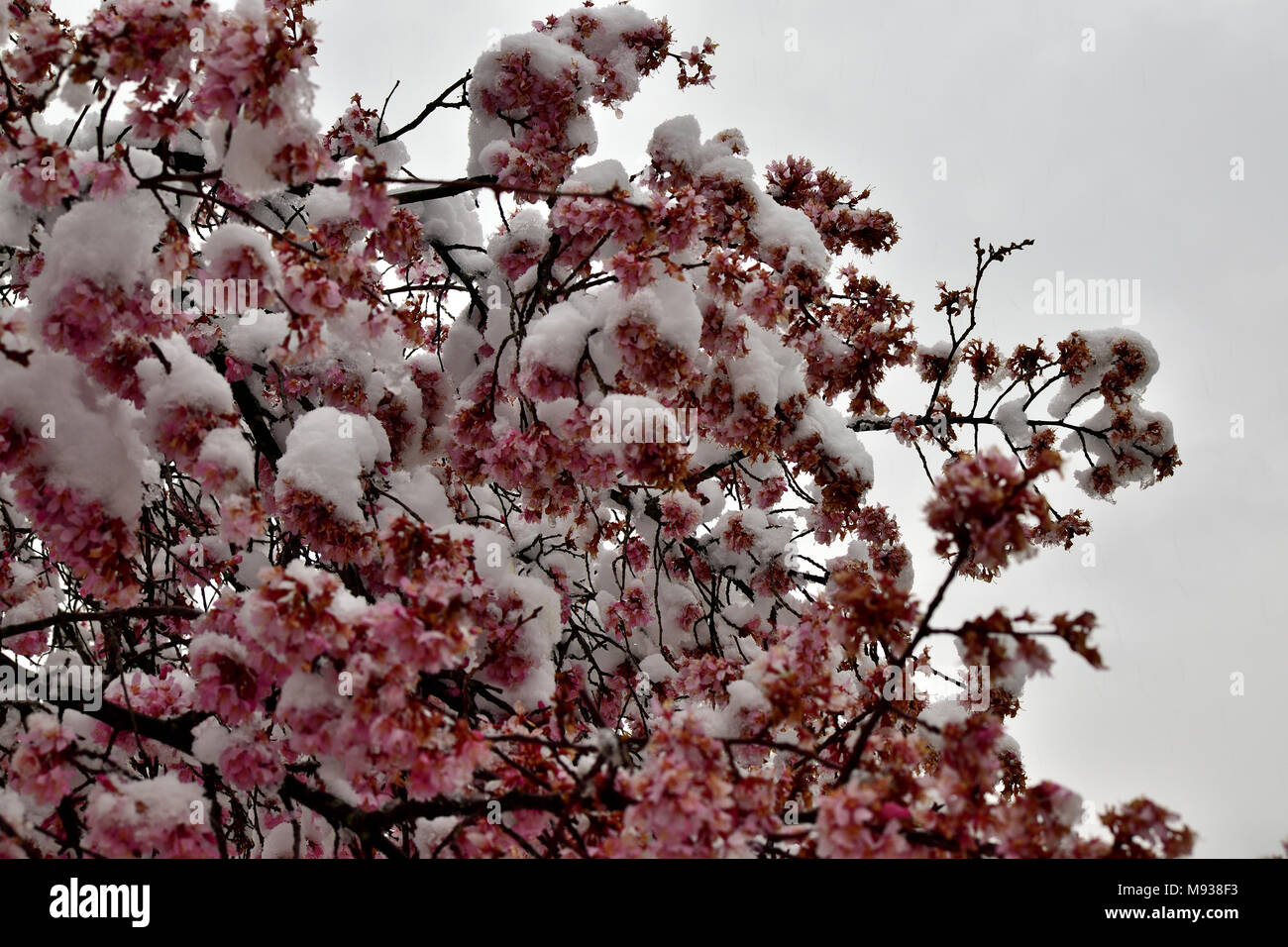 Spring break hi-res stock photography and images - Alamy