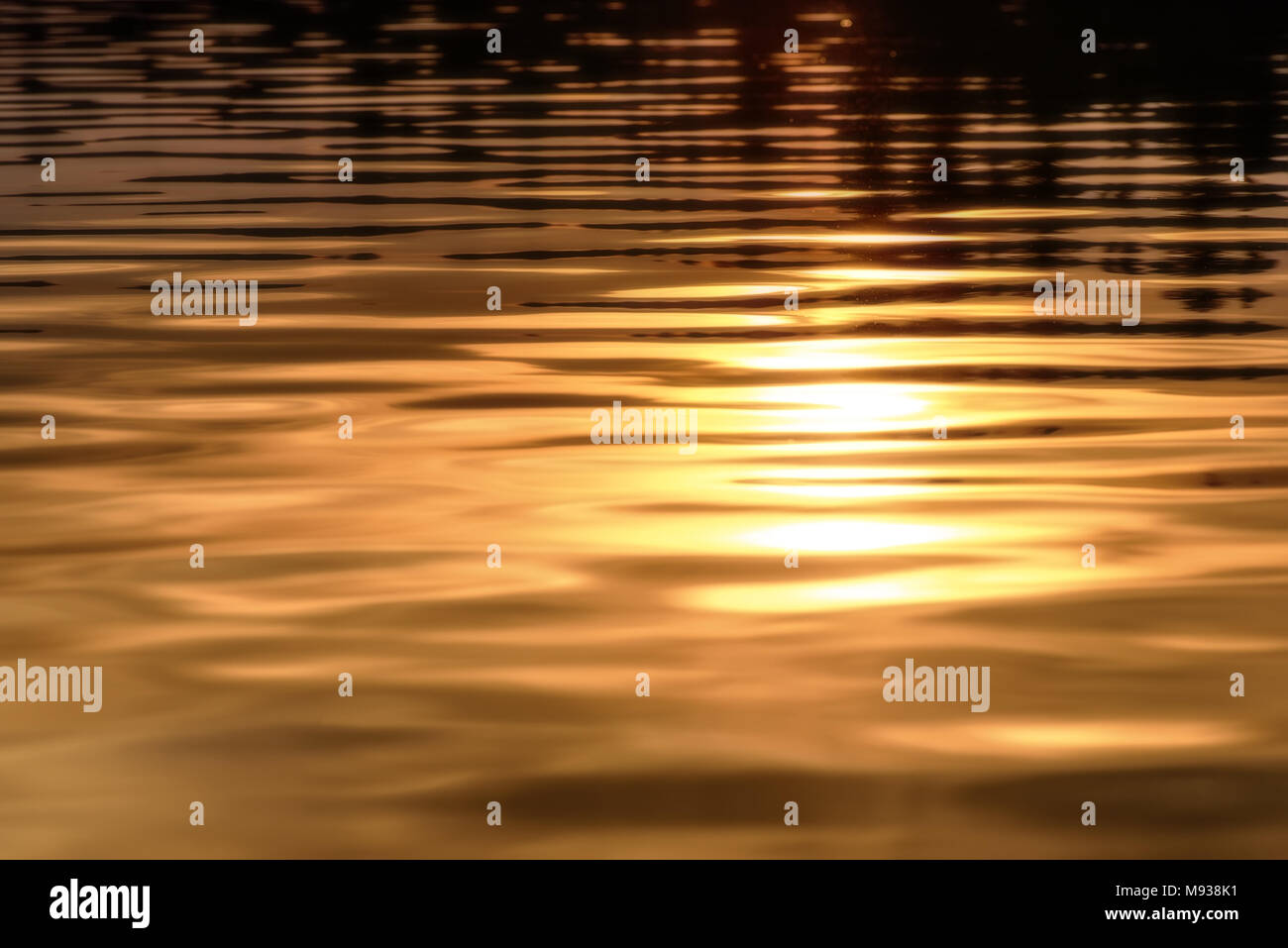 Golden background of water texture with sun reflection and beautiful ...