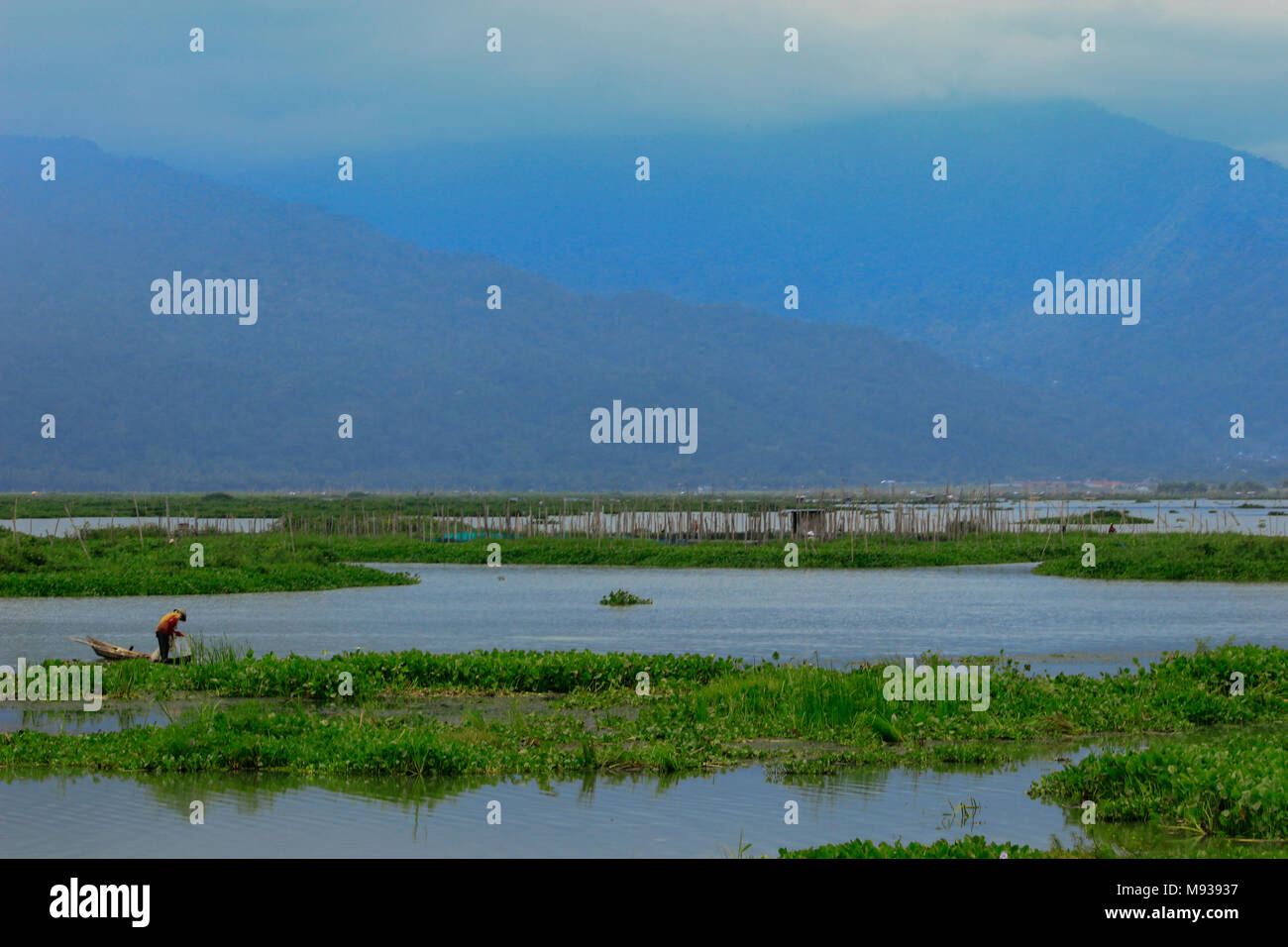 Rawa Pening is a lake in the Ambarawa Basin in Central Java, Indonesia ...