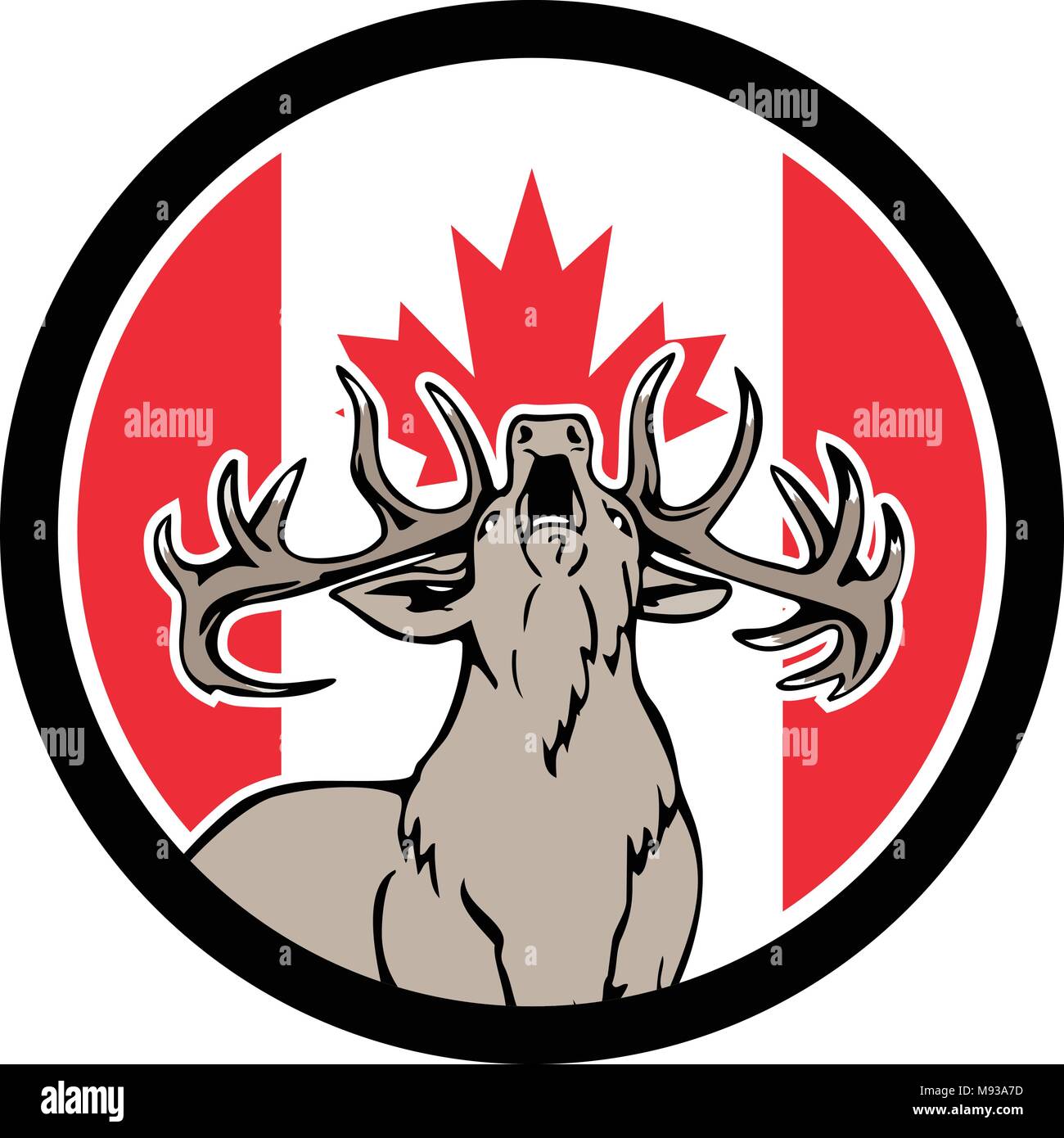 Icon retro style illustration of a Canadian stag deer roaring viewed ...