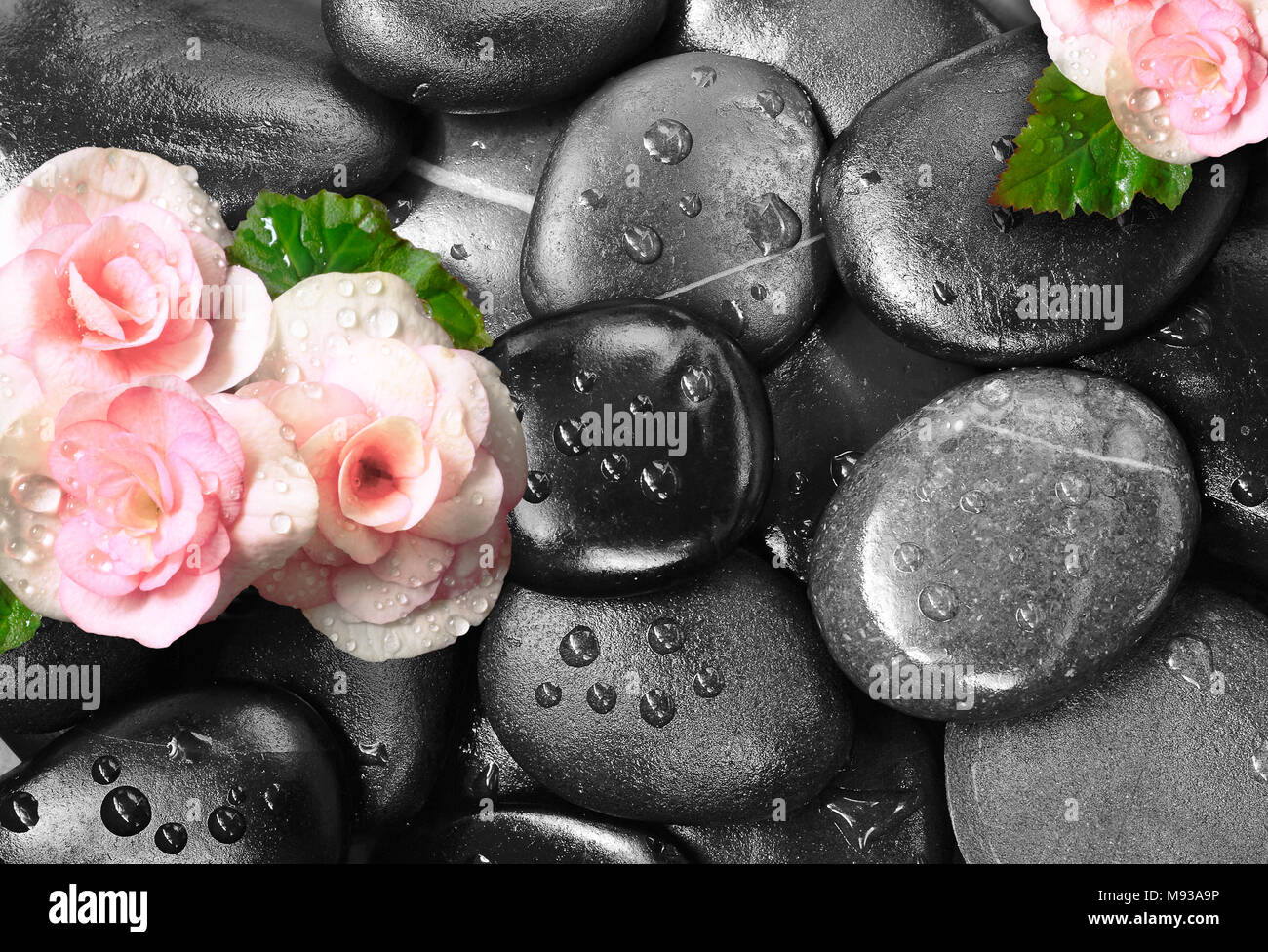Set of pink rose flowers on pebble. Spa concept Stock Photo - Alamy