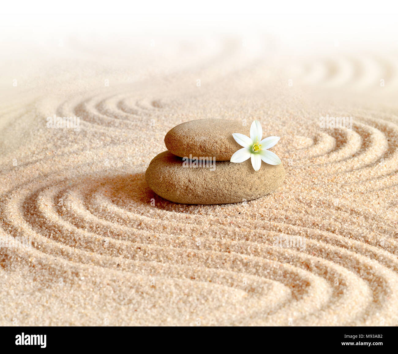 stones and white flower on the sand with circles and waves Stock Photo ...