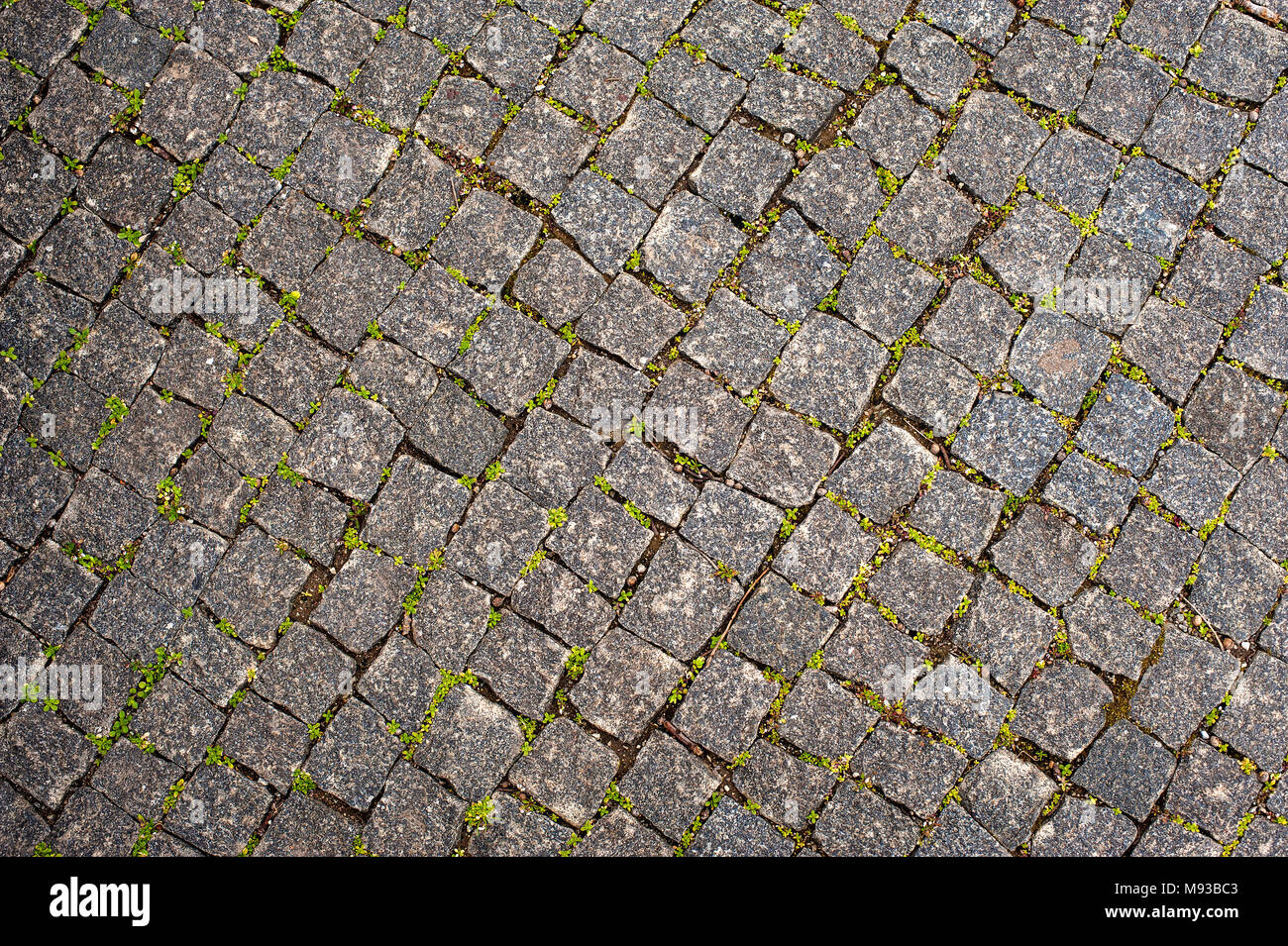 Grass between paving slabs hi-res stock photography and images - Alamy