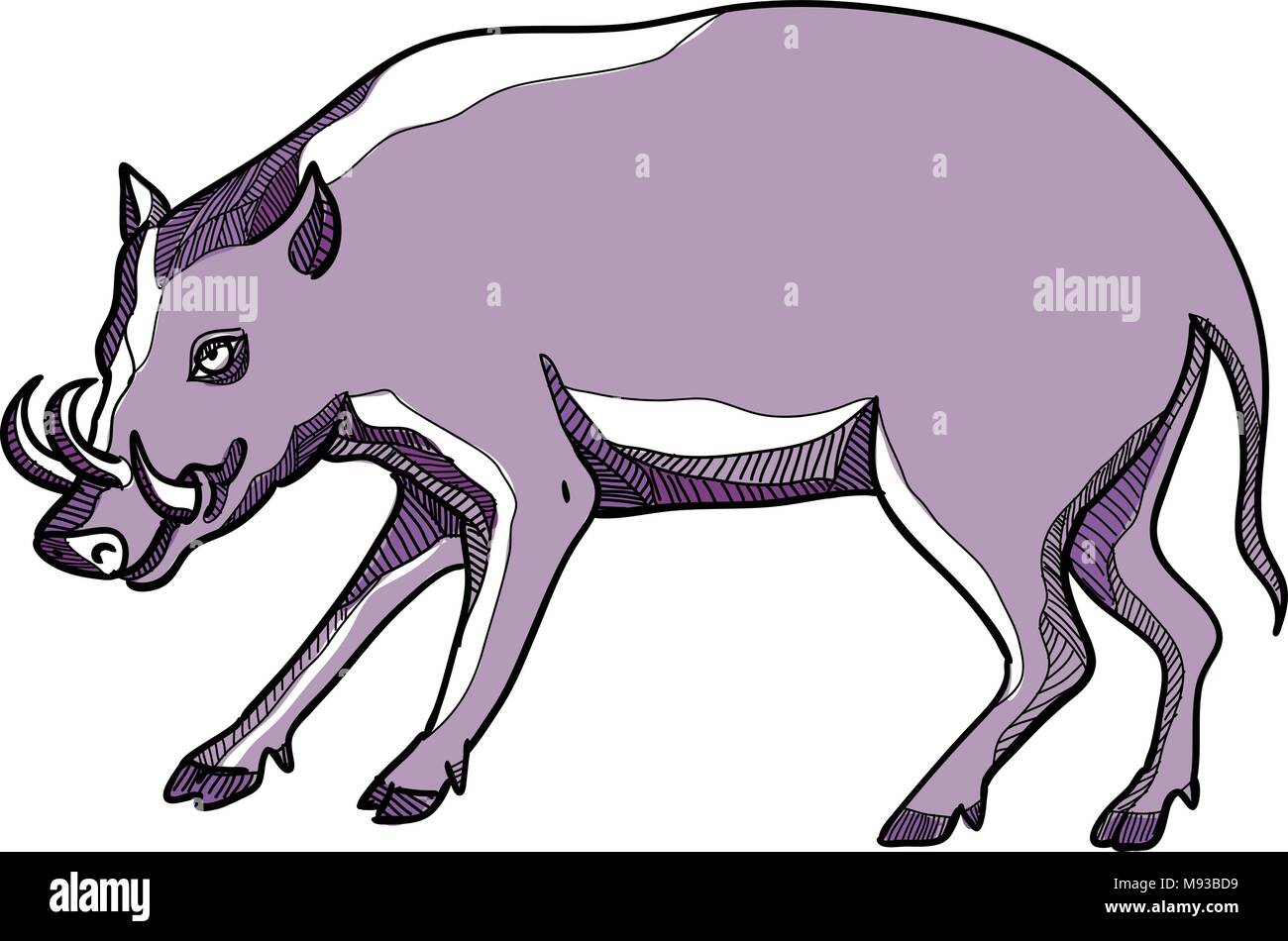 Sulawesi Babirusa High Resolution Stock Photography and Images - Alamy
