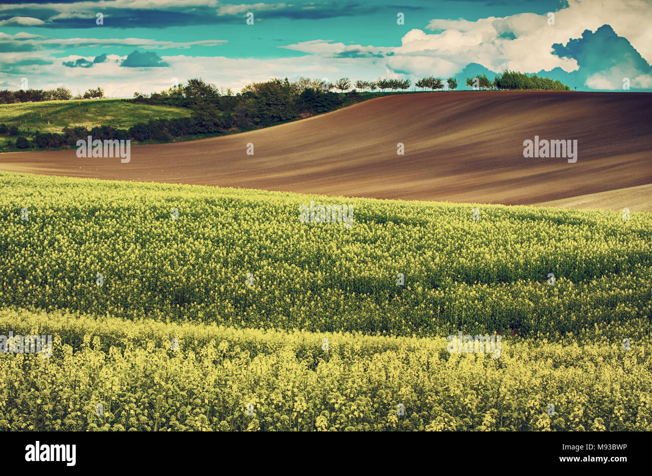 Rural spring landscape Stock Photo - Alamy