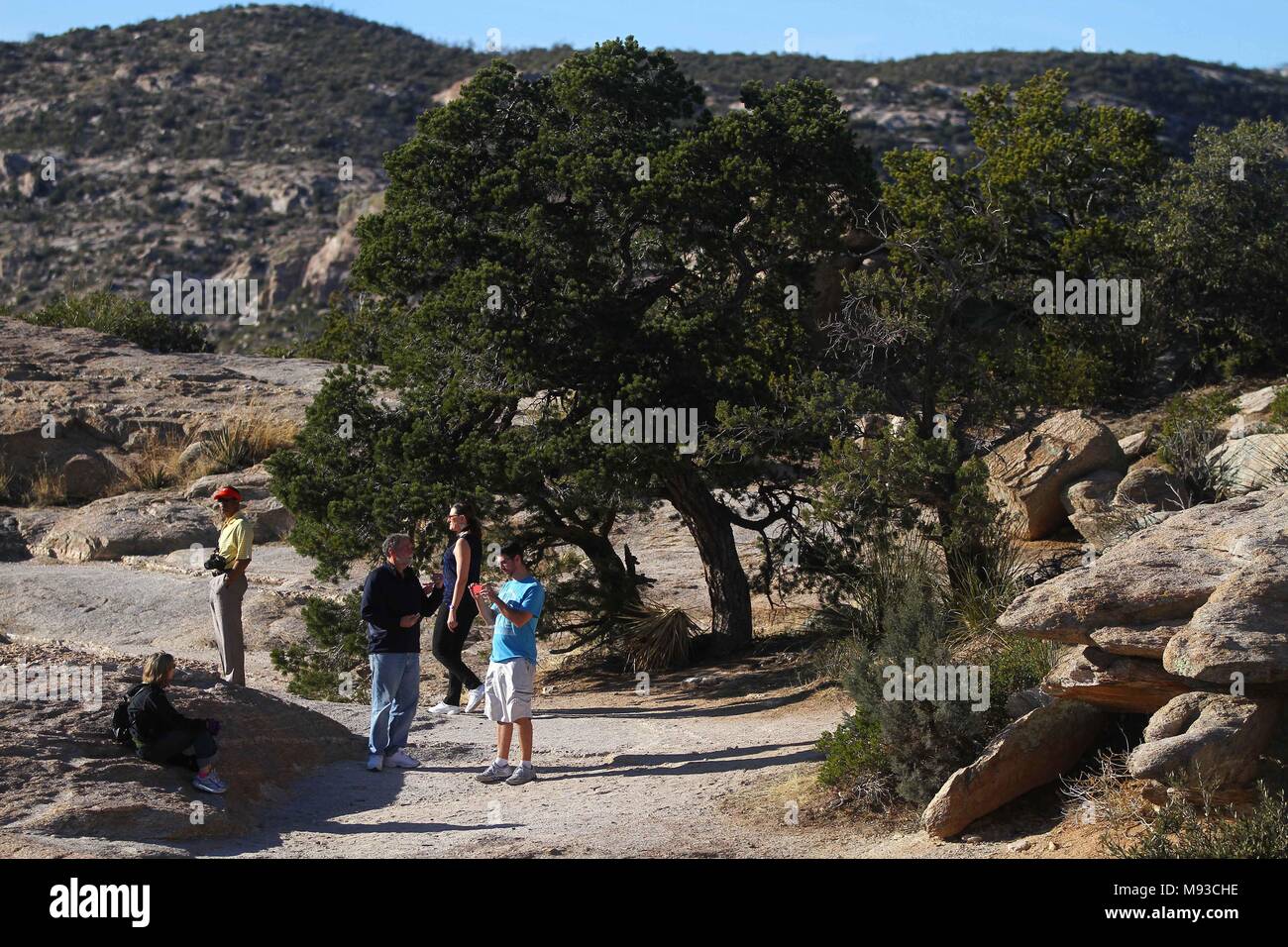 Mount Lemmon in Arizona Desert. Mount Lemmon en Arizona. ©NortePhoto ...