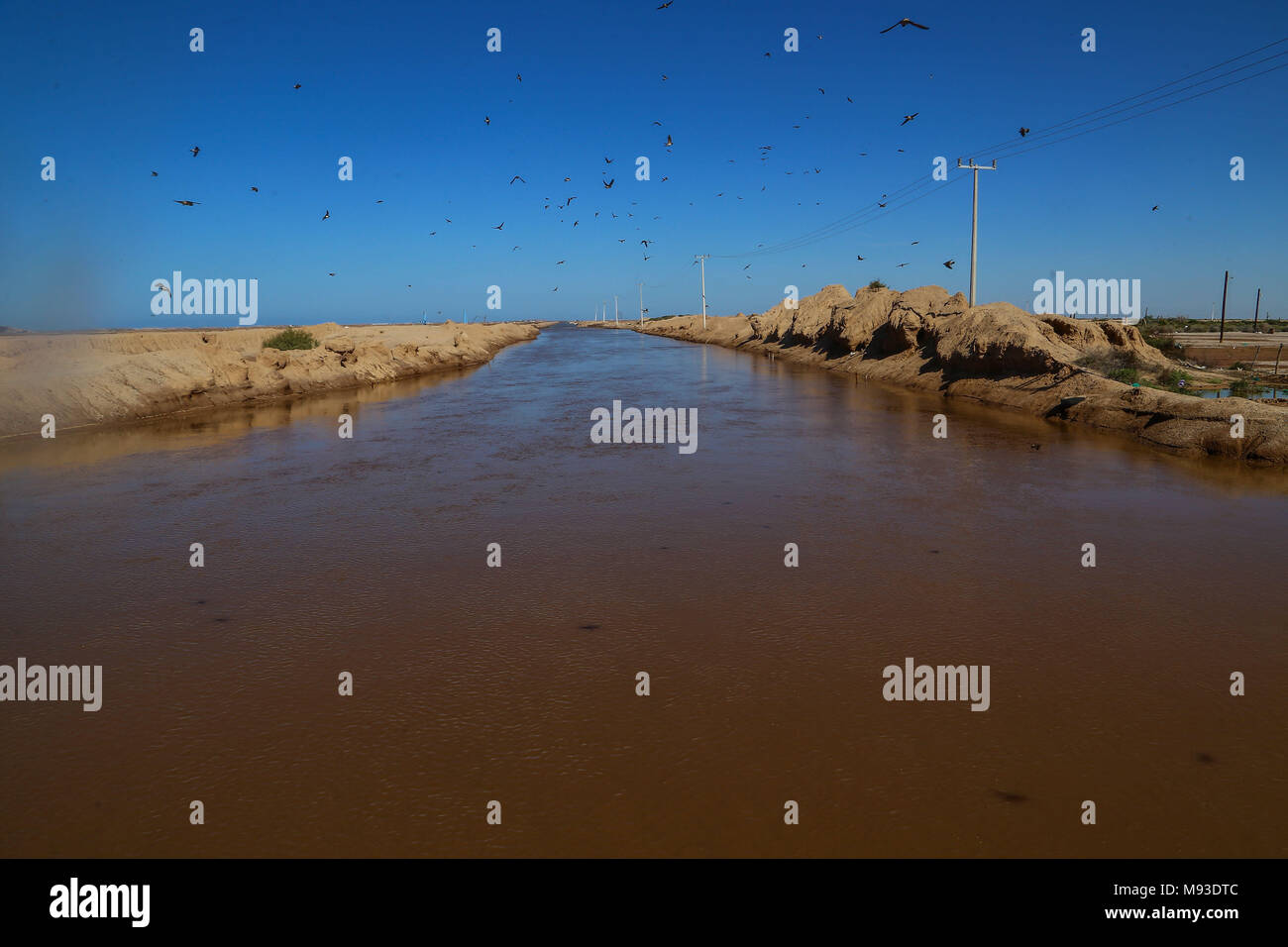 Estero and channels of aquatic shrimp farms, in the vicinity of the ...