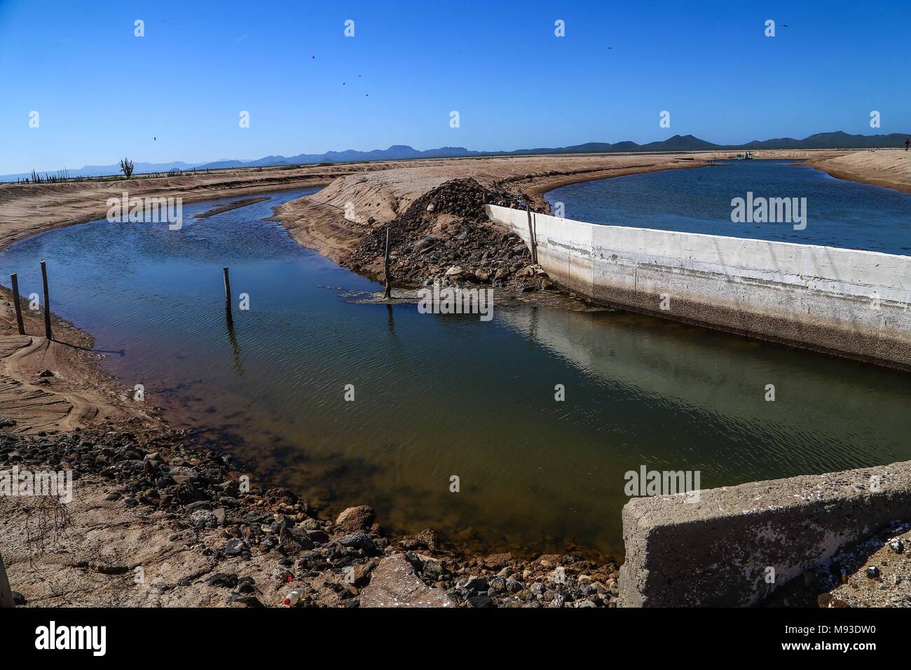 Estero and channels of aquatic shrimp farms, in the vicinity of the ...