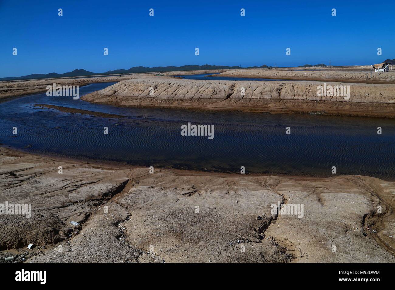 Estero and channels of aquatic shrimp farms, in the vicinity of the ...