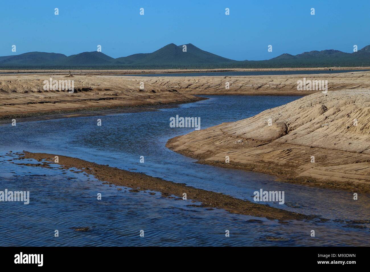 Shrimp farms hi-res stock photography and images - Alamy