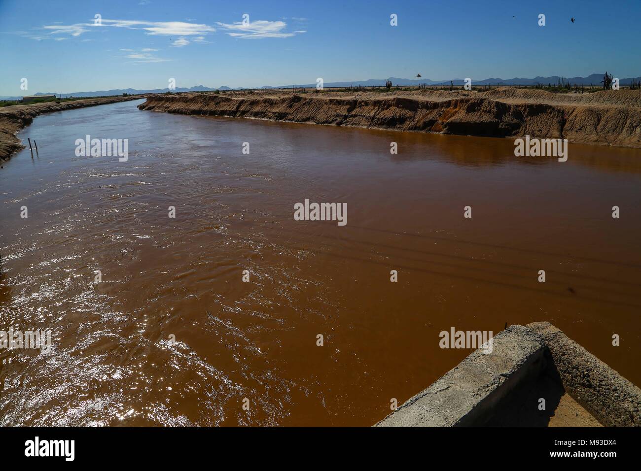 Estero and channels of aquatic shrimp farms, in the vicinity of the ...
