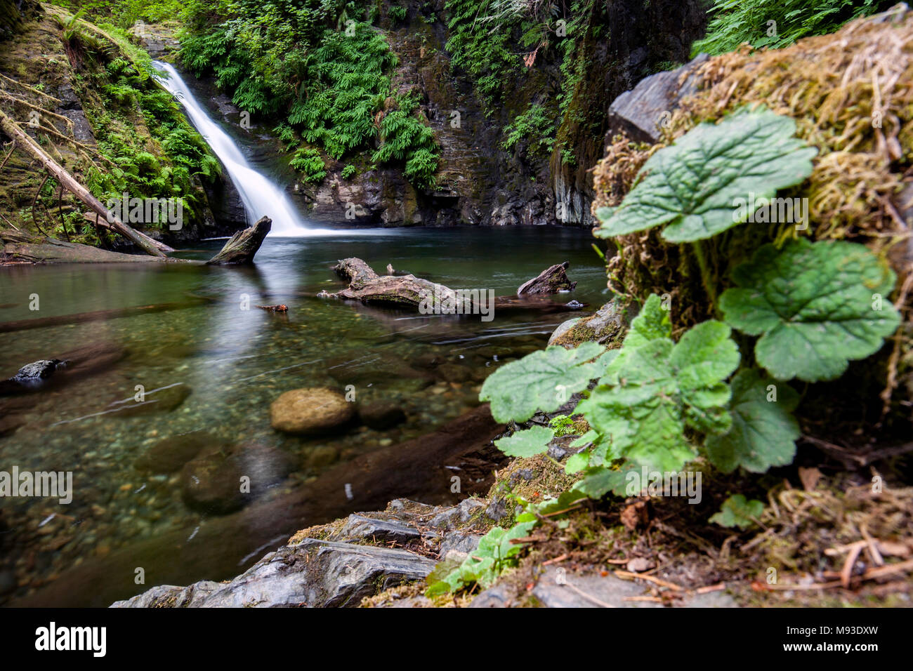 Goldstream Falls - Goldstream Provincial Park; Victoria, Vancouver ...