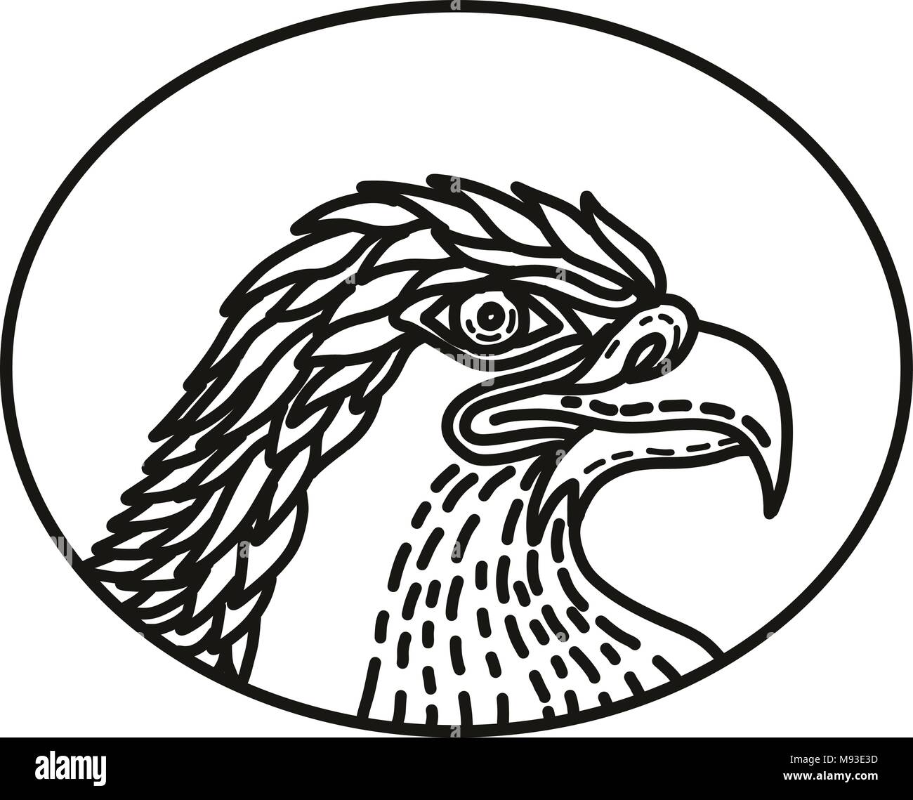 Mono line illustration of head of a sea eagle, bald eagle,a large bird ...