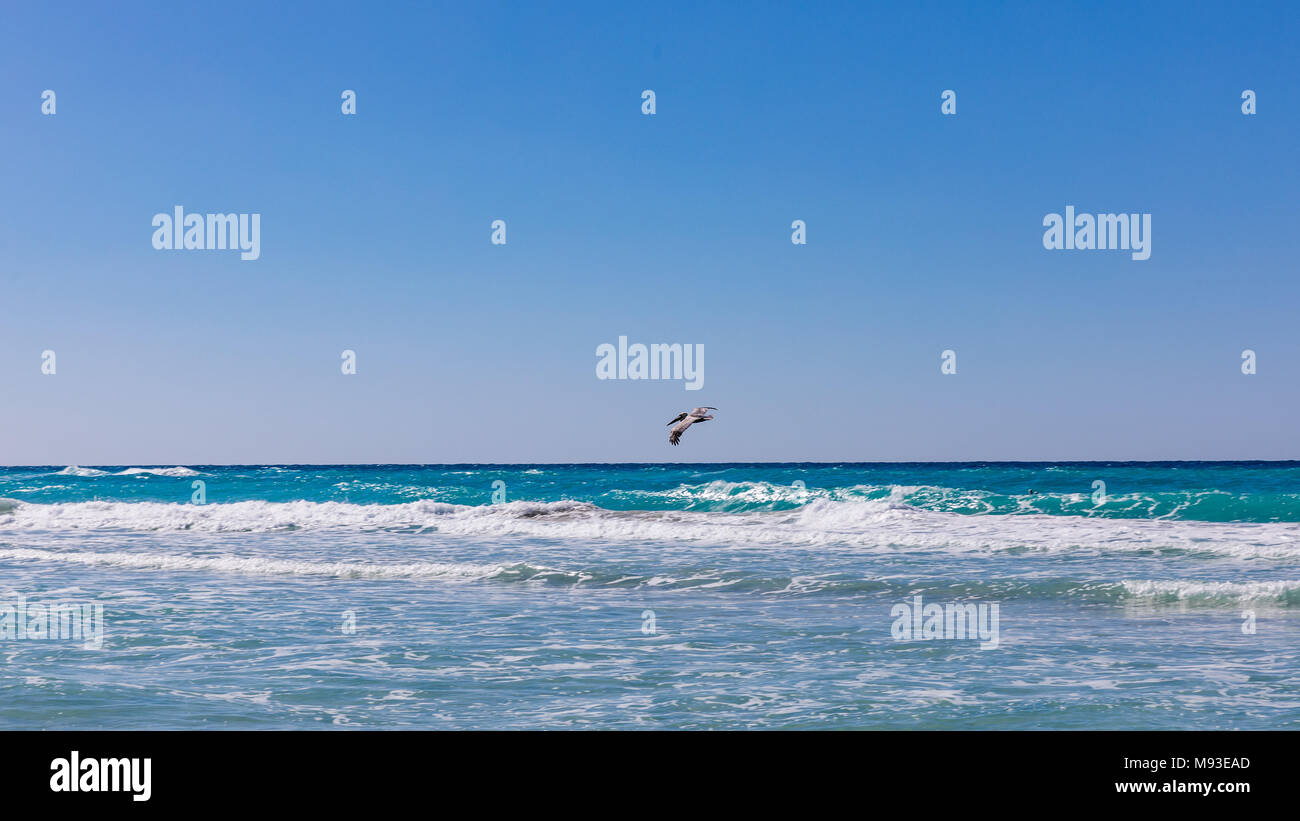 Cuban beach resort hi-res stock photography and images - Alamy
