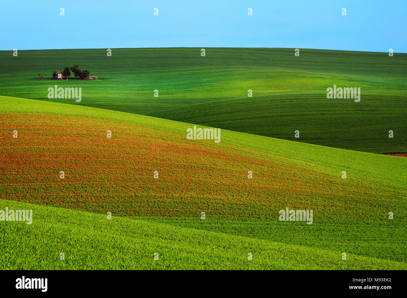 Rural spring landscape Stock Photo - Alamy
