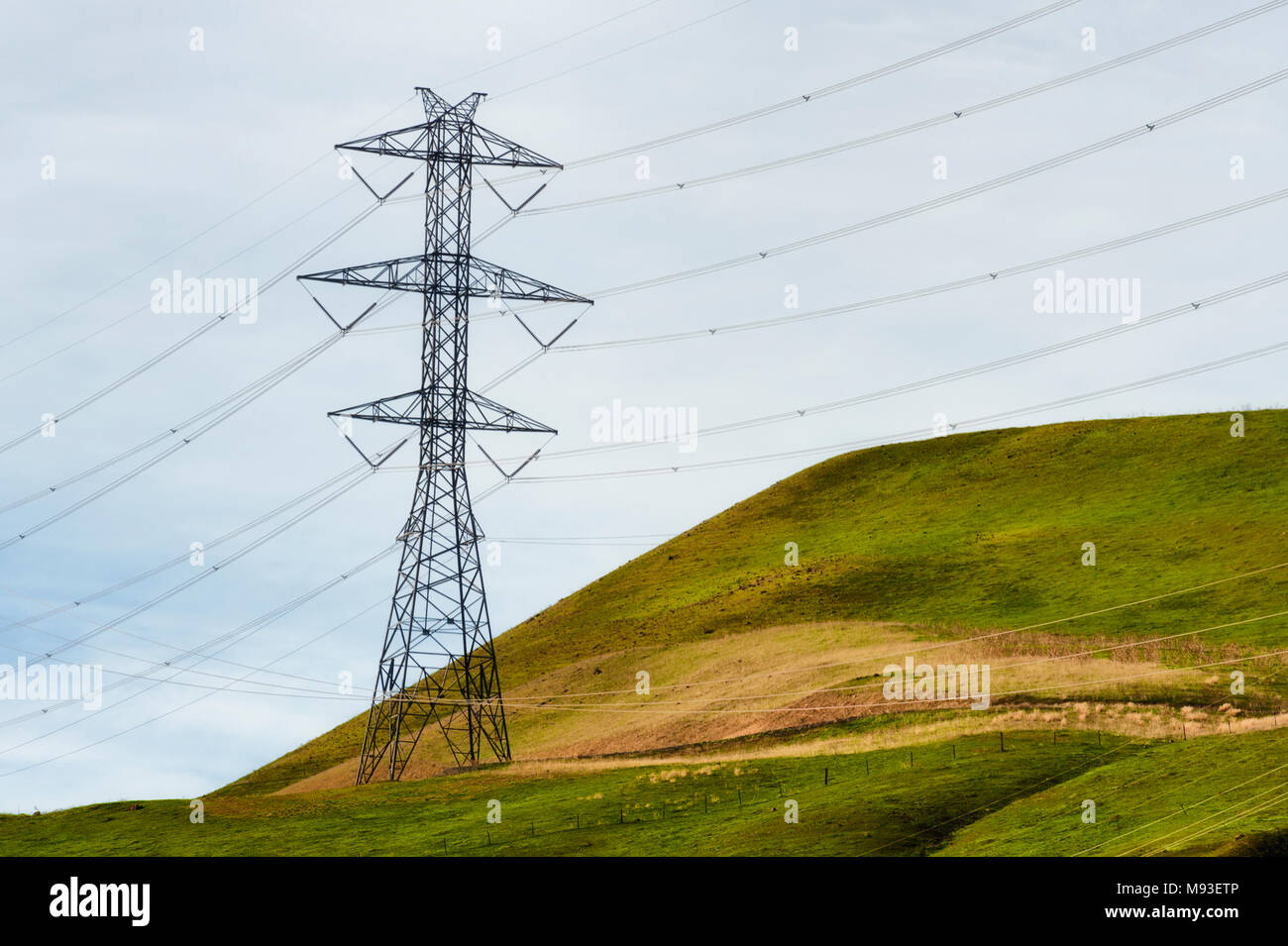 Powerline tower one on the high desert hillside in the Columbia River ...
