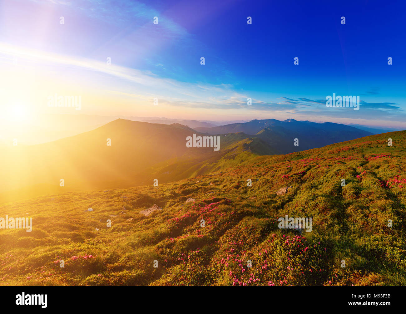 Amazing mountain sunrise Stock Photo - Alamy