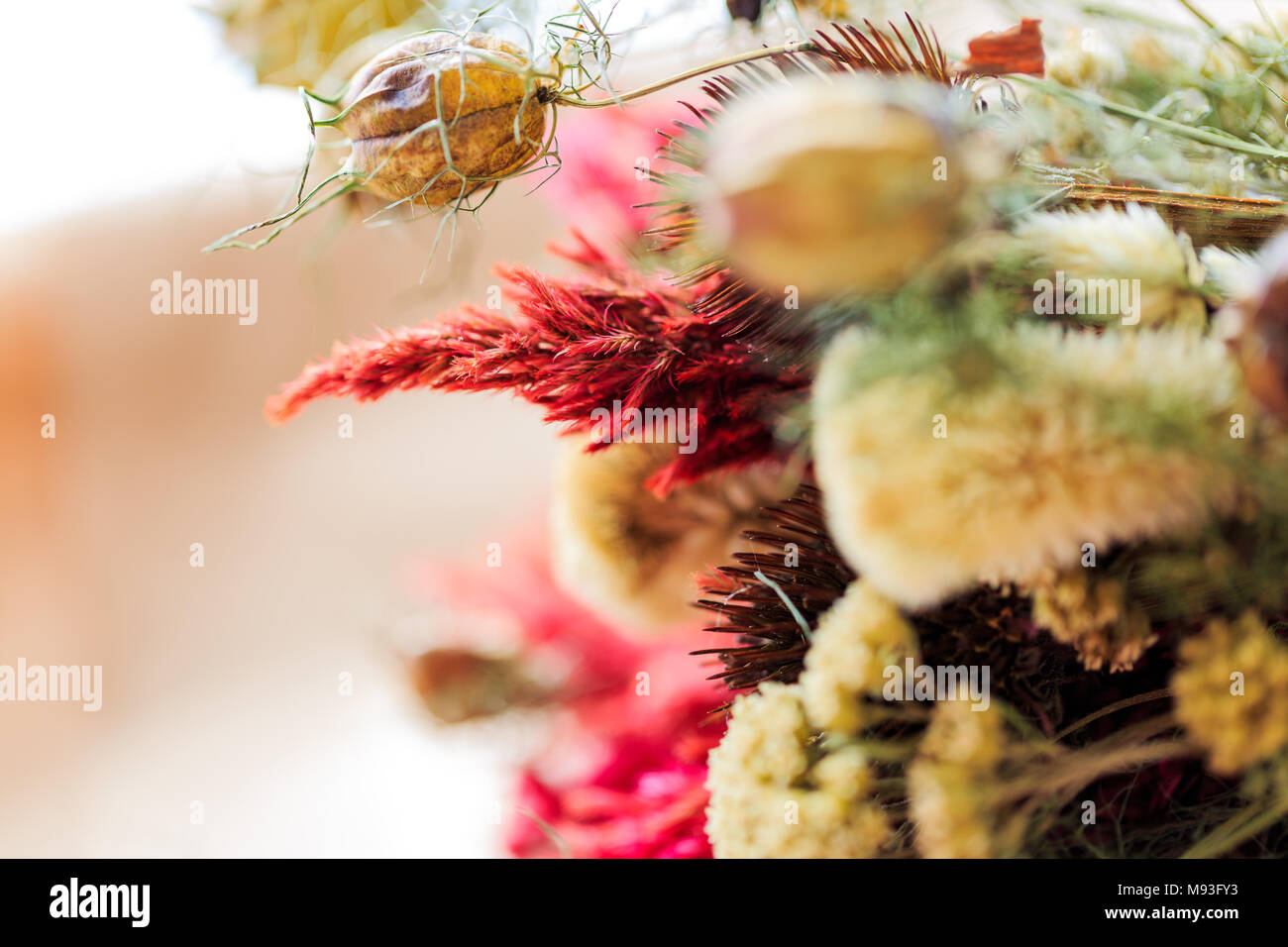 Organic dried flower arrangement set in natural light with red, yellow ...