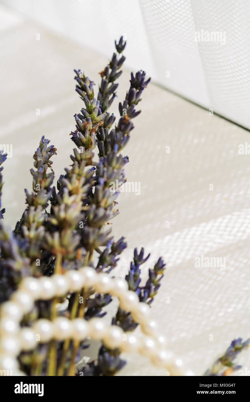 Purple dried lavender on display in natural light window Stock Photo ...