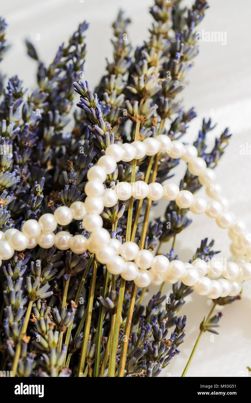 Purple dried lavender on display in natural light window Stock Photo ...