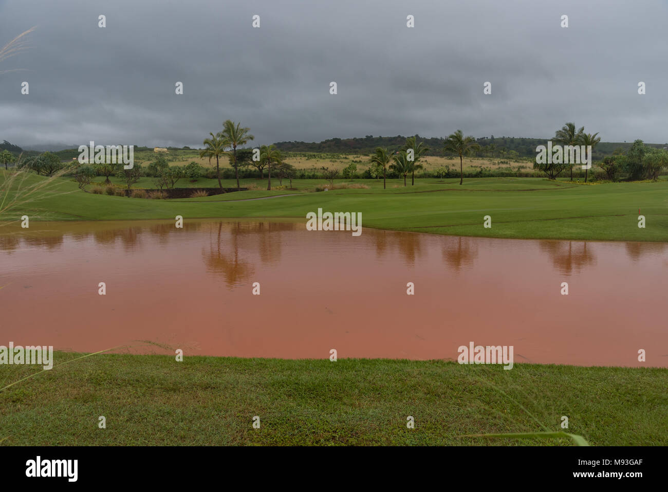 Aftermath of the rainstorm hi-res stock photography and images - Alamy