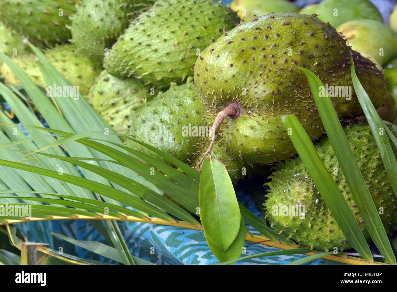 Soursop Fruit Stock Photos & Soursop Fruit Stock Images - Alamy