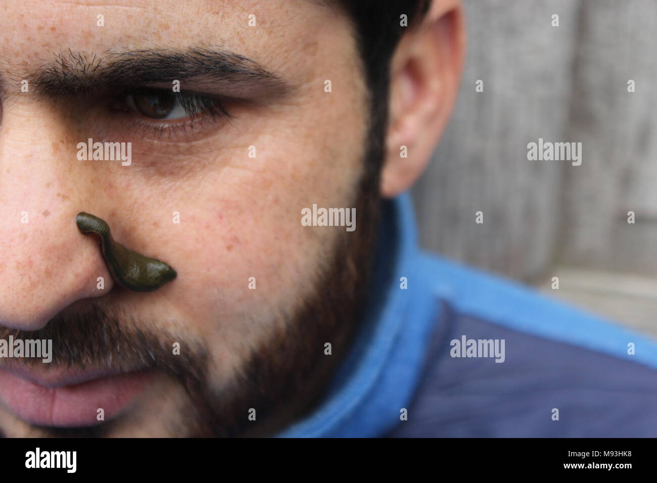 Traditional persian medicine hi-res stock photography and images - Alamy