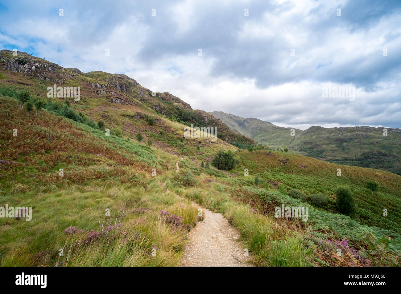 Scenic Landscape View of Mountain, Forest with path in Scottish ...