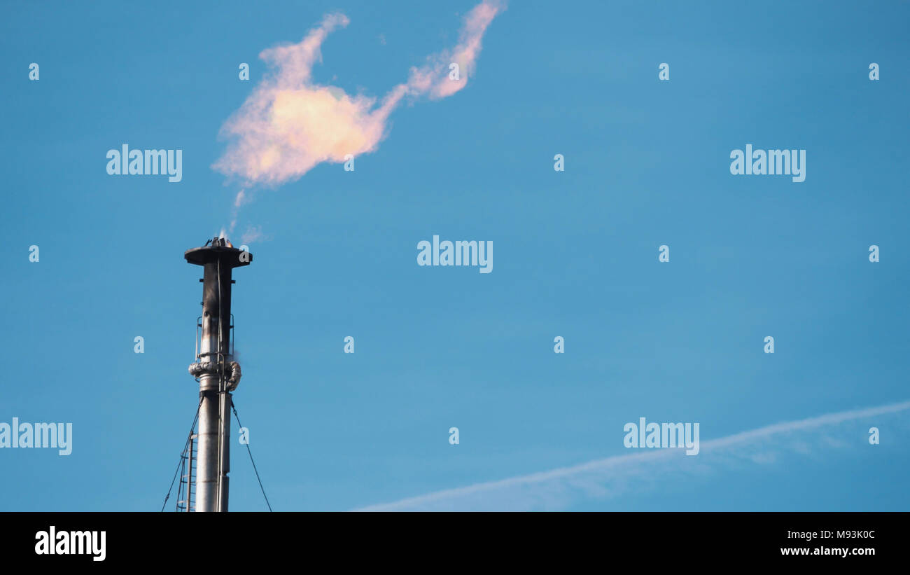 Burning torch plant processing hi-res stock photography and images - Alamy