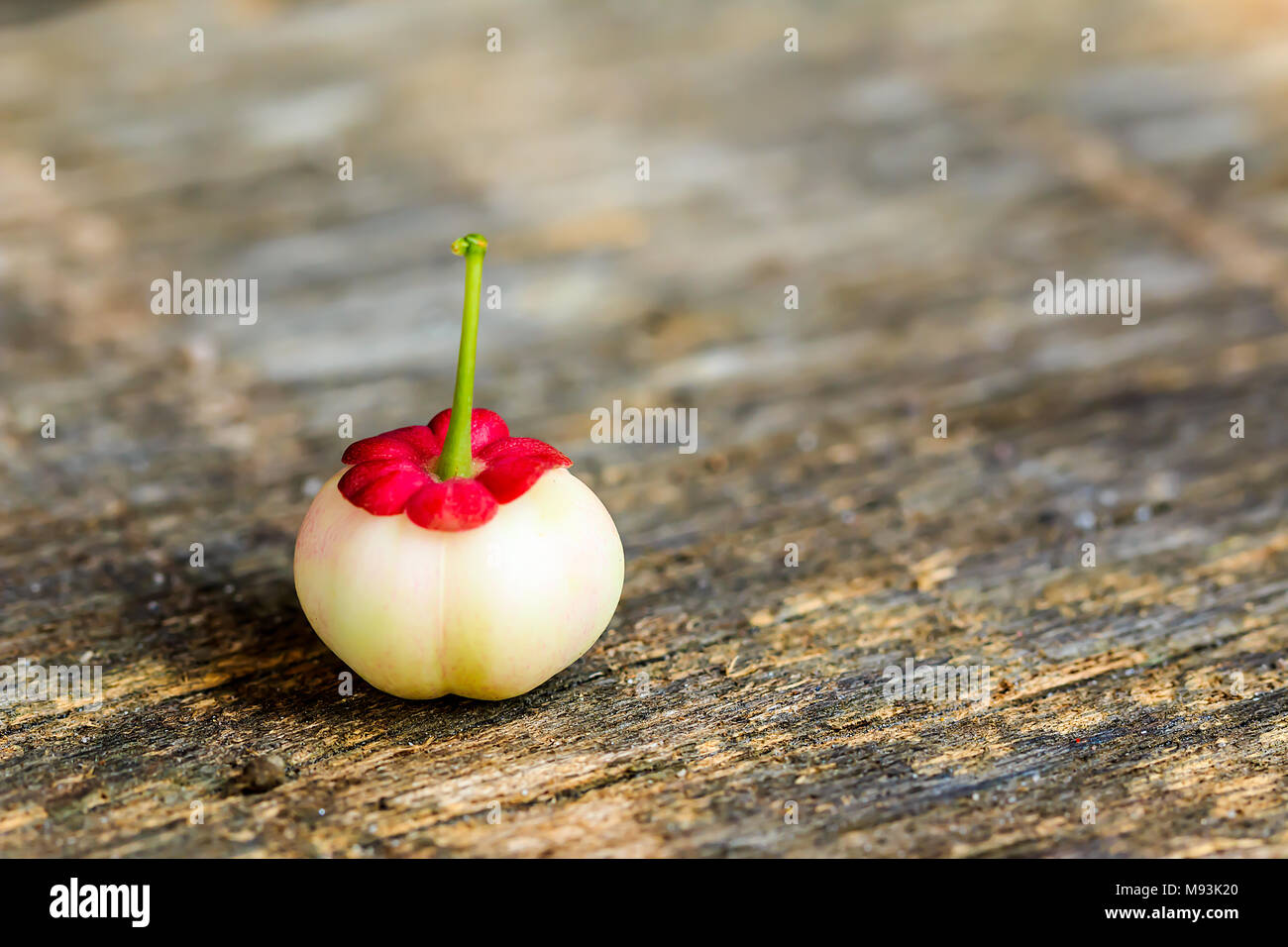 Pucuk manis hi-res stock photography and images - Alamy