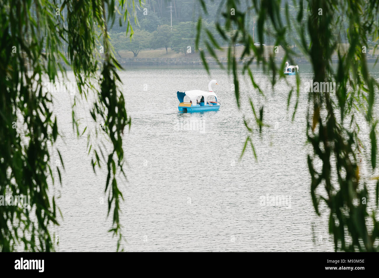 Duck boat on lake at Uirimji Reservoir in Jecheon, Korea Stock Photo ...