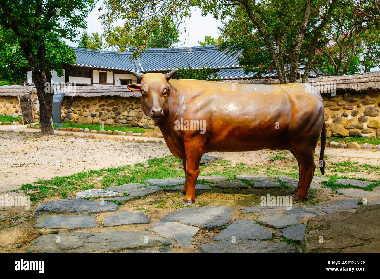 Korean Cow High Resolution Stock Photography and Images - Alamy