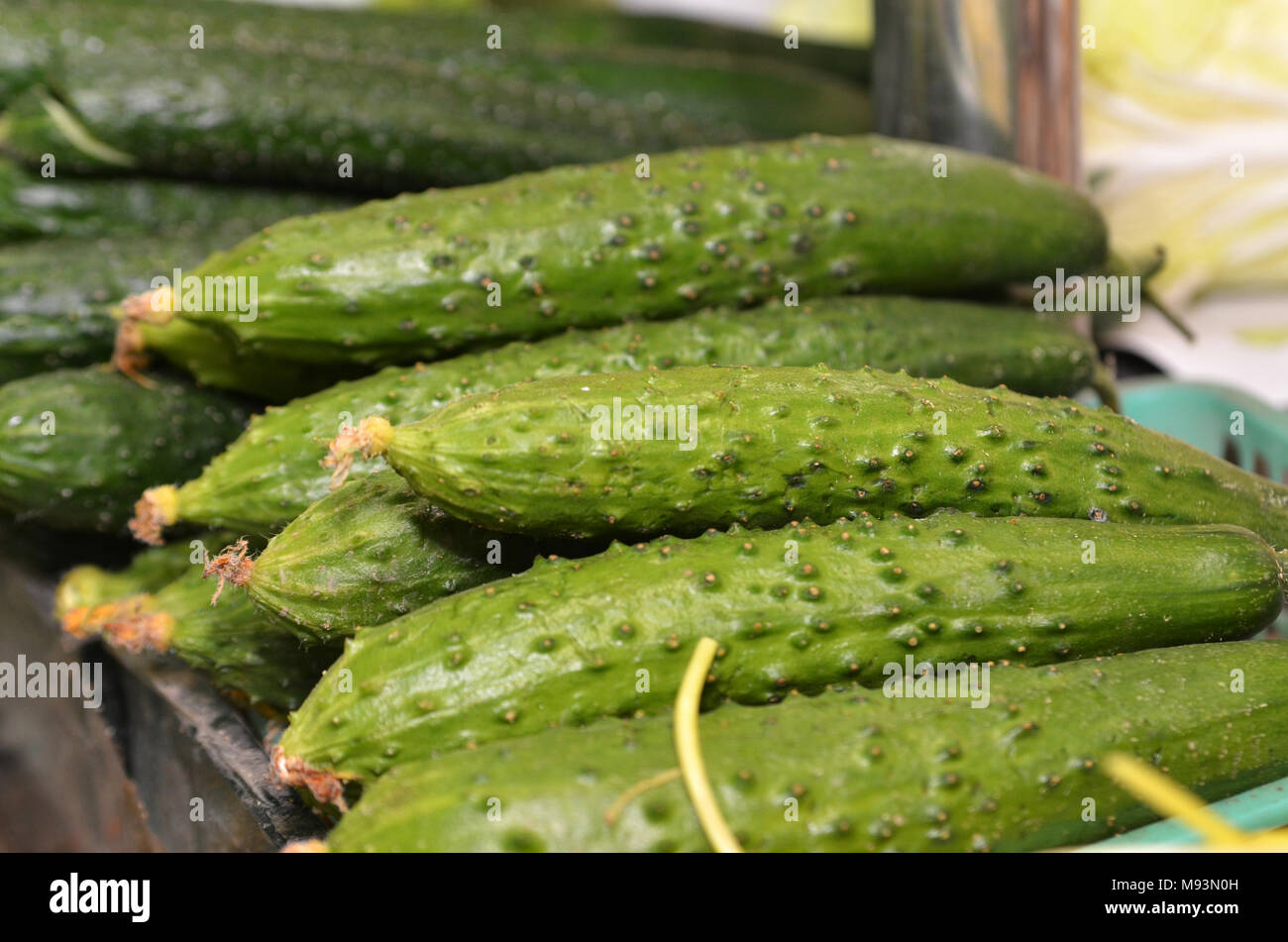 Green fresh cucumber in box on sale at grocery food store Stock Photo ...