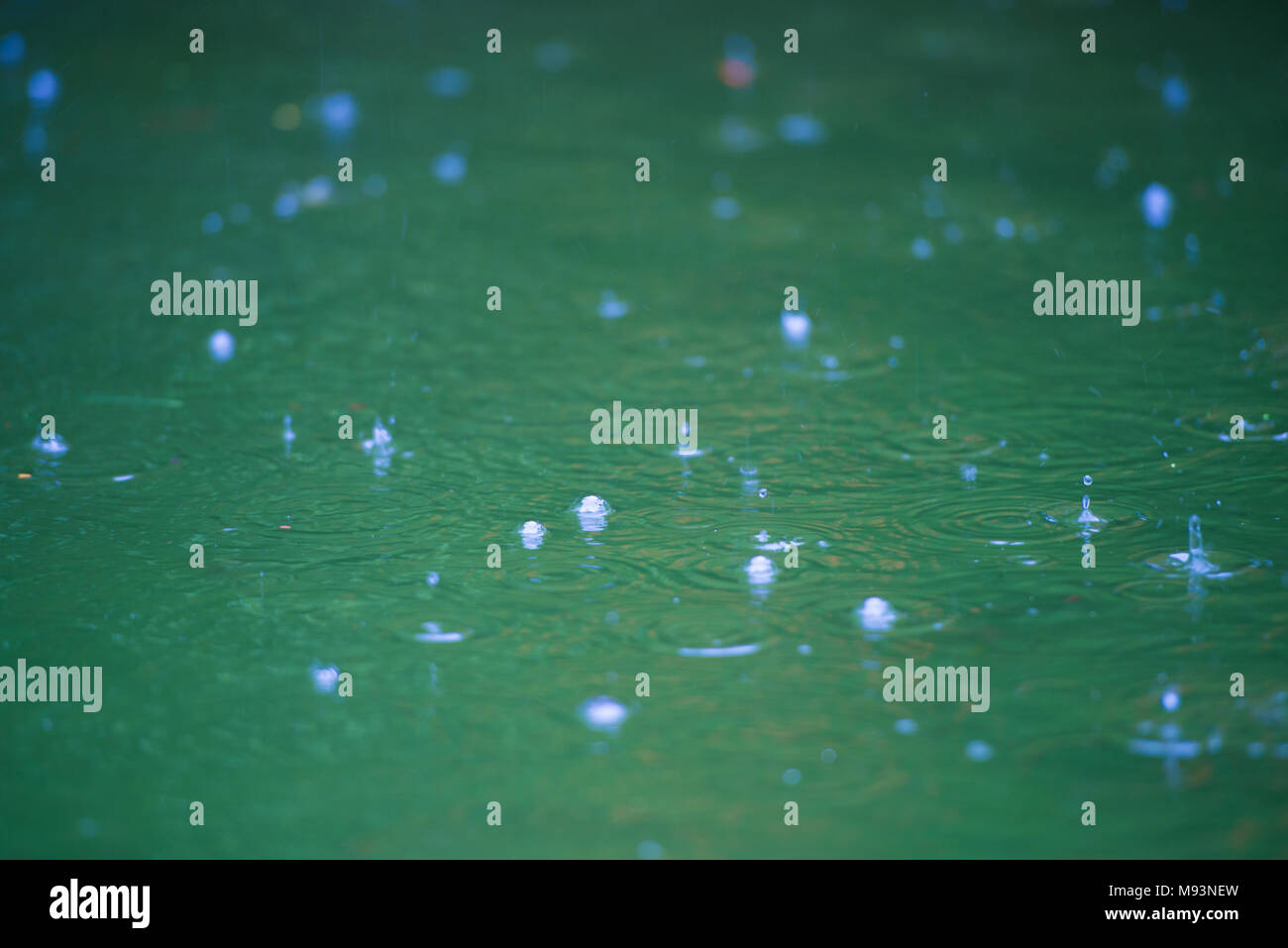 Puddle ripple green hi-res stock photography and images - Alamy