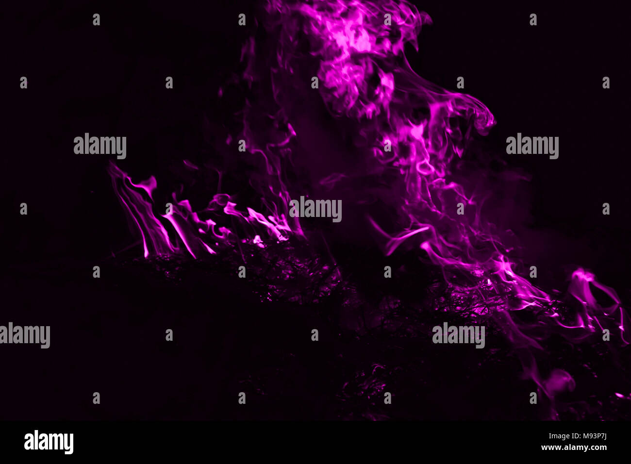 Violet flame. Fire. Burning of rice straw at night Stock Photo - Alamy
