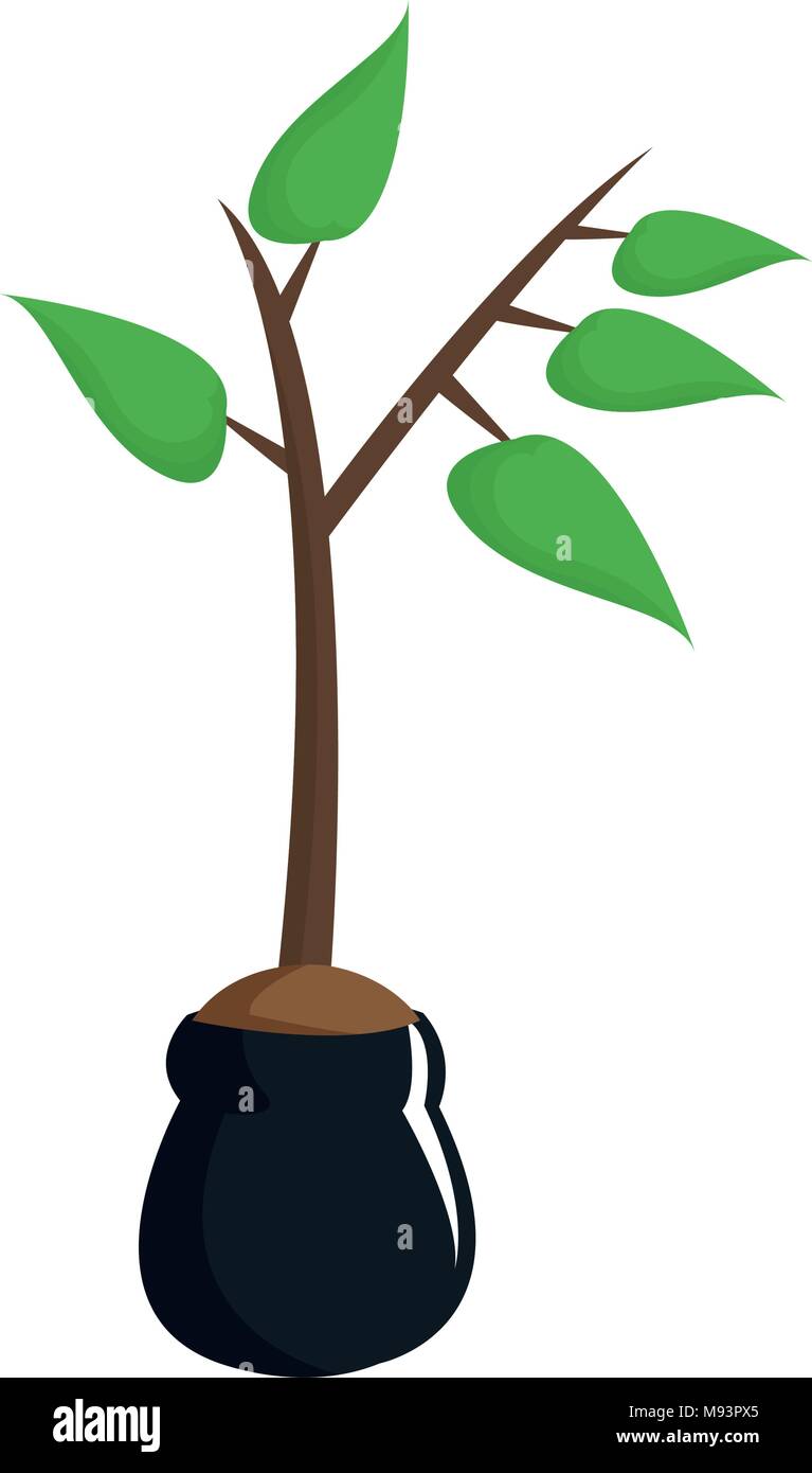 Plant on pot vector illustration graphic design Stock Vector Image ...