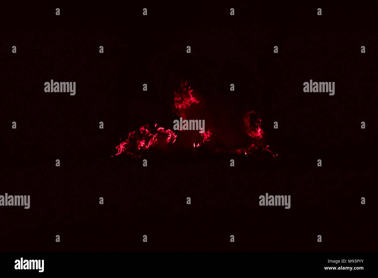 Fire. Burning of rice straw at night. A dark red flame Stock Photo - Alamy