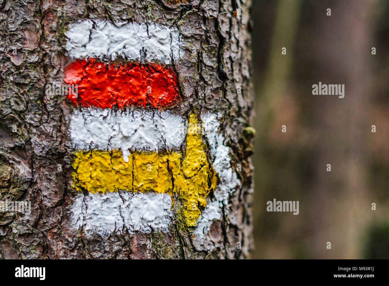 Tourist color sign on the tree with an arrow. Close-up view, red and ...